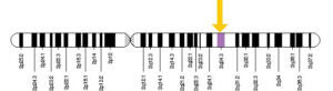 SCN2A Explained – FamilieSCN2A Foundation